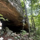 Boxley Valley Scenic Drive, Arkansas - 183 Reviews, Map | AllTrails