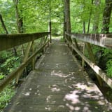 Jones Bridge Trail , Georgia - 2,722 Reviews, Map | AllTrails
