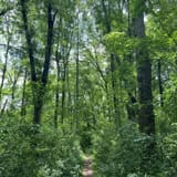 Jones Bridge Trail , Georgia - 2,722 Reviews, Map | AllTrails