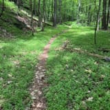 Jones Bridge Trail , Georgia - 2,722 Reviews, Map | AllTrails