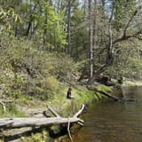 Wildcat Falls, New Hampshire - 2,110 Reviews, Map | AllTrails