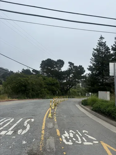 Best Trail Running Trails in Pogonip Open Space Preserve | AllTrails