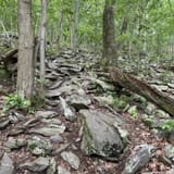 Raven Rocks via Appalachian Trail, Virginia - 6,038 Reviews, Map ...