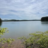 Nottely Reservoir Trail, Georgia - 1,091 Reviews, Map | AllTrails