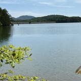 Nottely Reservoir Trail, Georgia - 1,091 Reviews, Map | AllTrails