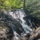 Mima Falls Loop, Washington - 1,568 Reviews, Map | AllTrails