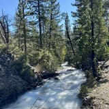 Spaulding Lake Trail, California - 1,311 Reviews, Map | AllTrails