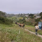 Malaga Lunada Vista Loop, California - 414 Reviews, Map | AllTrails