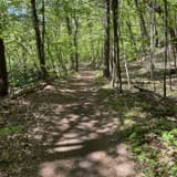 Luton Park Trail, Michigan - 1,123 Reviews, Map | AllTrails