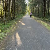 Chehalis Western Trail, Washington - 546 Reviews, Map | AllTrails