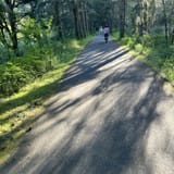 Chehalis Western Trail, Washington - 546 Reviews, Map | AllTrails