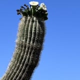 Gateway Loop Trail, Arizona - 11,799 Reviews, Map | AllTrails