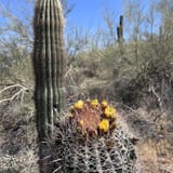 Gateway Loop Trail, Arizona - 11,799 Reviews, Map | AllTrails