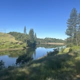 Lake Tabeaud Loop, California - 1,011 Reviews, Map | AllTrails