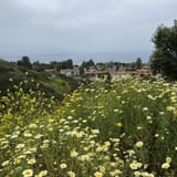 Malaga Lunada Vista Loop, California - 414 Reviews, Map | AllTrails