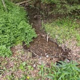 Case Mountain Trail, Connecticut - 1,028 Reviews, Map | AllTrails