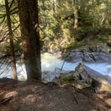 Franklin Falls Trail, Washington - 5,092 Reviews, Map | AllTrails