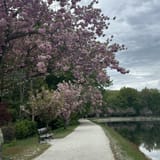 Brookline Reservoir Park Trail, Massachusetts - 346 Reviews, Map ...