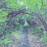 Edgecliff Loop, New York - 242 Reviews, Map | AllTrails