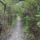 Edgecliff Loop, New York - 245 Reviews, Map | AllTrails