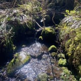 Franklin Falls Trail, Washington - 5,123 Reviews, Map | AllTrails