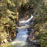 Franklin Falls Trail, Washington - 5,092 Reviews, Map | AllTrails