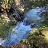 Franklin Falls Trail, Washington - 5,123 Reviews, Map | AllTrails