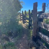 Dragoon Gulch Trail, California - 953 Reviews, Map | AllTrails