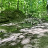 Rocks and Roots South Loop, Ohio - 1,244 Reviews, Map | AllTrails