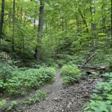 Low Gap Trail , Indiana - 1,445 Reviews, Map | AllTrails