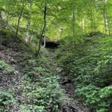Low Gap Trail , Indiana - 1,445 Reviews, Map | AllTrails