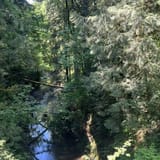 Hidden Falls Nature Park Trail, Oregon - 541 Reviews, Map | AllTrails