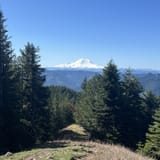 Mount Washington Trail, Washington - 2,866 Reviews, Map | AllTrails