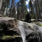 Congress Trail, California - 2,873 Reviews, Map | AllTrails