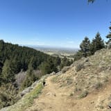 Sypes Canyon, Montana - 1,465 Reviews, Map | AllTrails