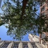 University Park Bike Trail, Ohio - 215 Reviews, Map | AllTrails