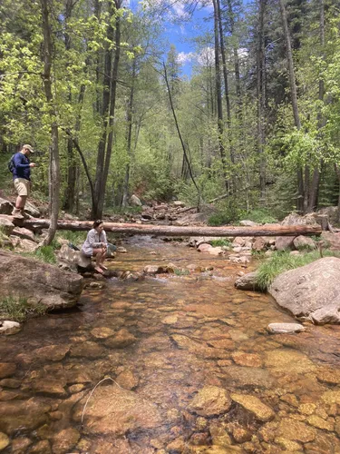 Best Backpacking Trails in Forest Lakes | AllTrails