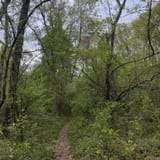 Cumberland Monastery Trail, Rhode Island - 2,066 Reviews, Map | AllTrails