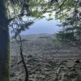 Evergreen Beach Trail, Washington - 694 Reviews, Map | AllTrails