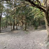 Boxley and the North Downs Circular, Kent, England - 476 Reviews, Map ...