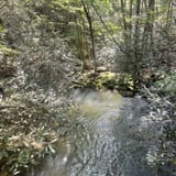 Obed River Point Trail, Tennessee - 794 Reviews, Map | AllTrails