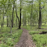 Overall Run Falls via Tuscarora-Overall Run Trail, Virginia - 1,024 ...