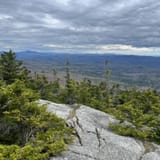 Mount Cardigan Loop Trail, New Hampshire - 2,040 Reviews, Map | AllTrails