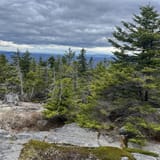 Mount Cardigan Loop Trail, New Hampshire - 2,040 Reviews, Map | AllTrails