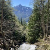 Ira Spring Memorial Trail, Washington - 2,086 Reviews, Map | AllTrails