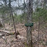Arethusa Falls and Frankenstein Cliff Loop, New Hampshire - 2,077 ...
