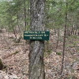 Arethusa Falls and Frankenstein Cliff Loop, New Hampshire - 2,077 ...