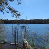 Suttle Lake Loop, Oregon - 857 Reviews, Map | AllTrails