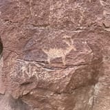 Palisade Rim Trail, Colorado - 1,576 Reviews, Map | AllTrails