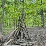 Camp Tomo-Chi-Chi Knolls, Illinois - 808 Reviews, Map | AllTrails